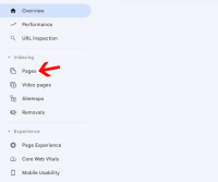 10 Most Common Google Indexing Issues & How to Fix it