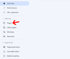 10 Most Common Google Indexing Issues & How to Fix it